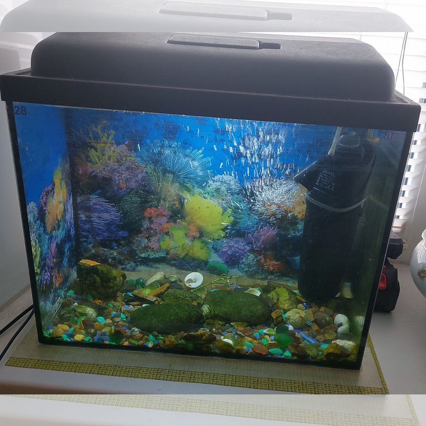 Аквариум