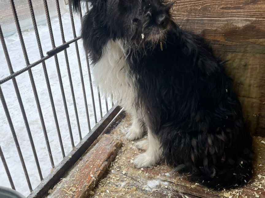 Подари волшебство дикой Дыне