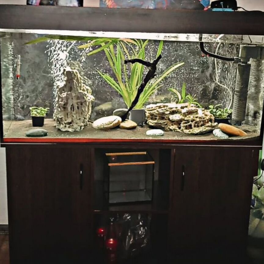 Аквариум 250 литров с тумбой