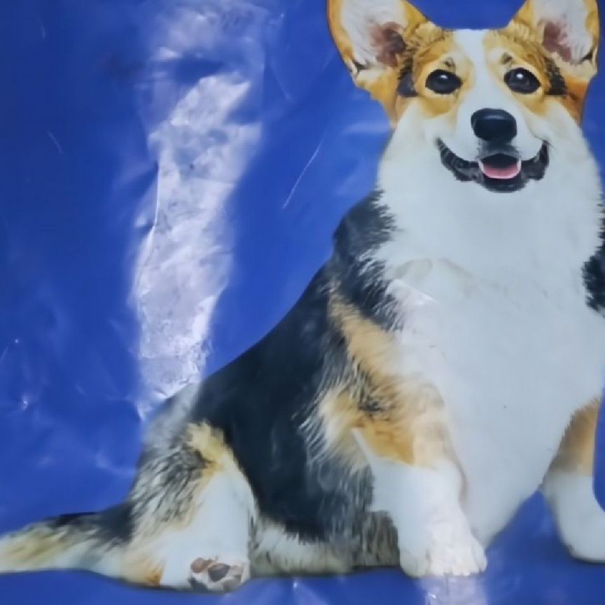 Корм для собак brit 15 кг