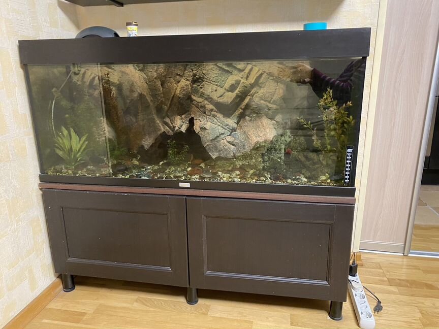 Аквариум Juwel rio 240 с тумбой