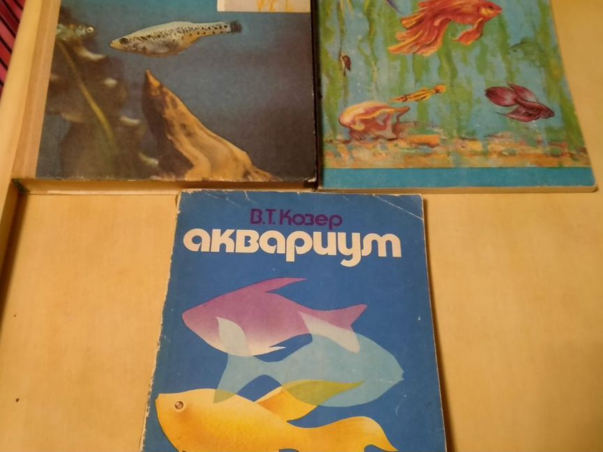 Декоративные рыбки и про пчел