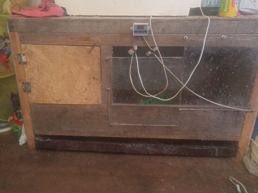 Брудер для цыплят бу