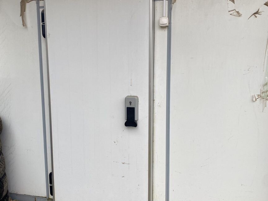 Рыба на корм для животных