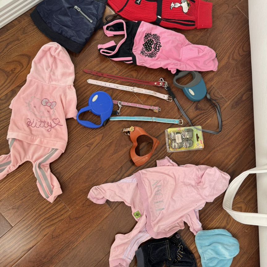 Набор вещей для собачки