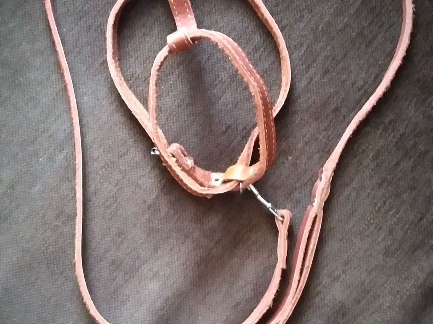 Шлейка с поводком кожаная