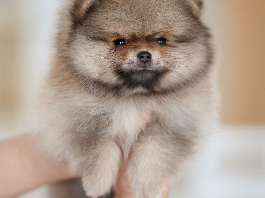 Мальчик и девочка