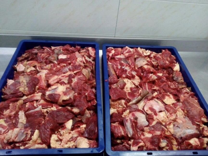 Обрезь для собак