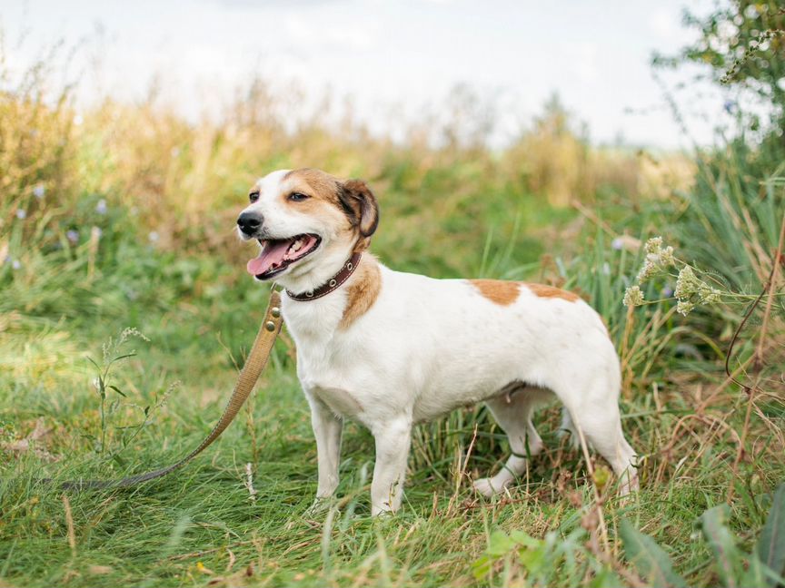 Маленькая Ася находится в приюте