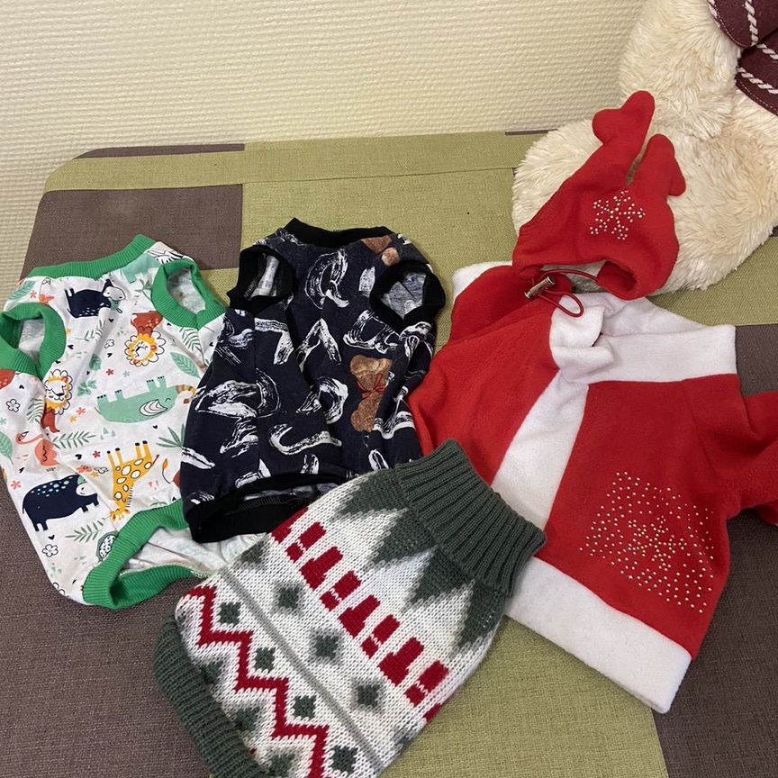 Вещи для котиков(голые,сфинкс)