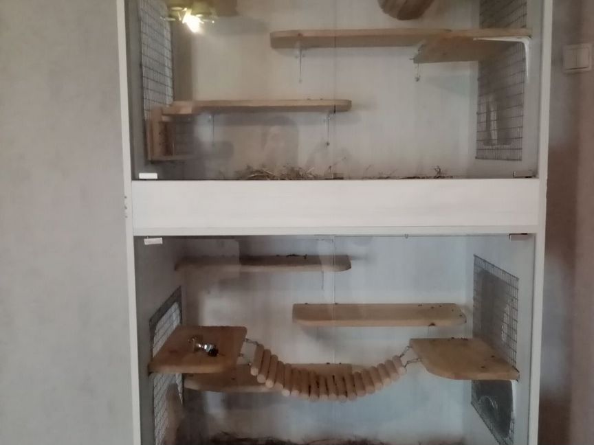 Витрина для грызунов шиншилл