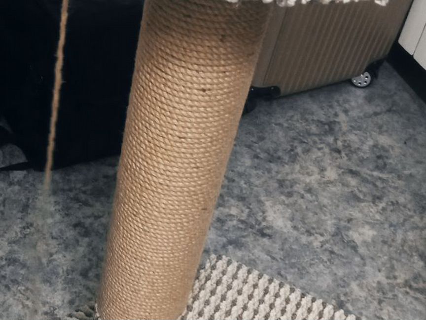 Товары для кошек