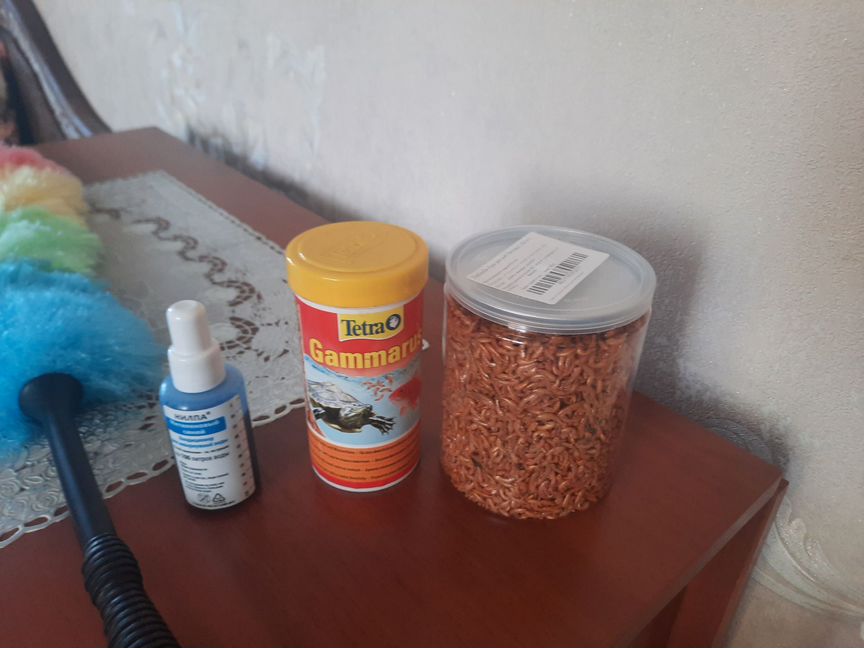 Аквариум для черепах