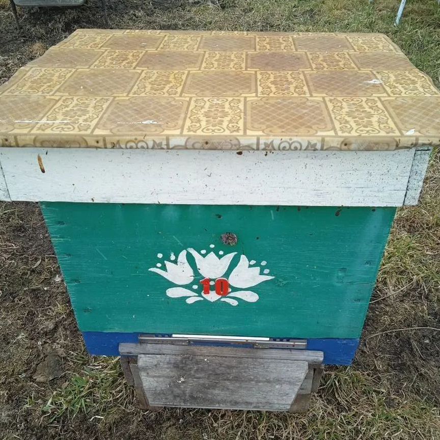 Продам пчелосемьи