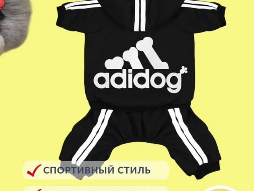 Костюм для маленьких пород