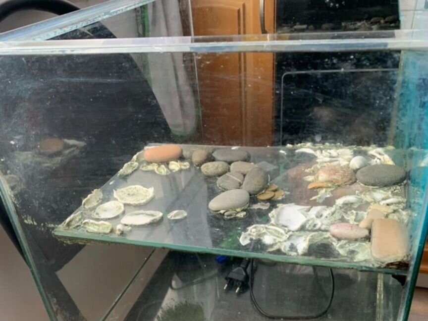 Аквариум 50 л