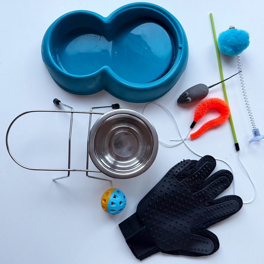 Набор для кота