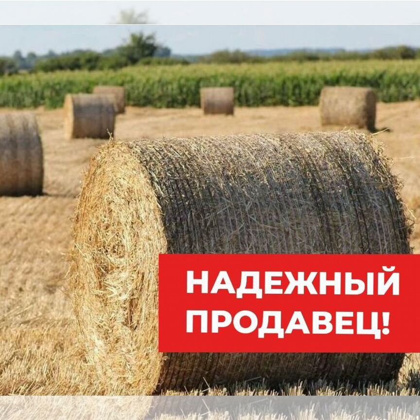 Сетка сенажная Россия 1,23 м х 3000 м