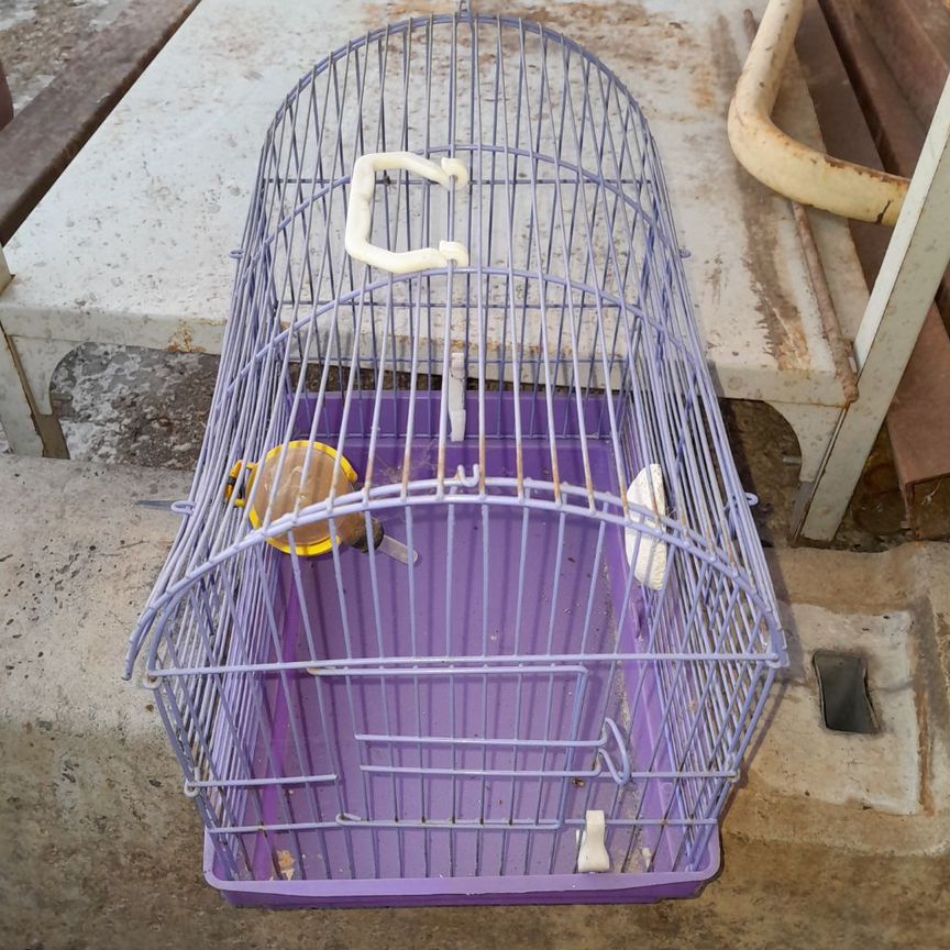 Клетка для грызунов