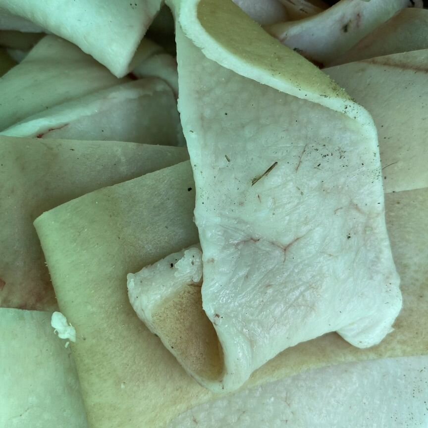 Шкурка свиная, обрезь, кости
