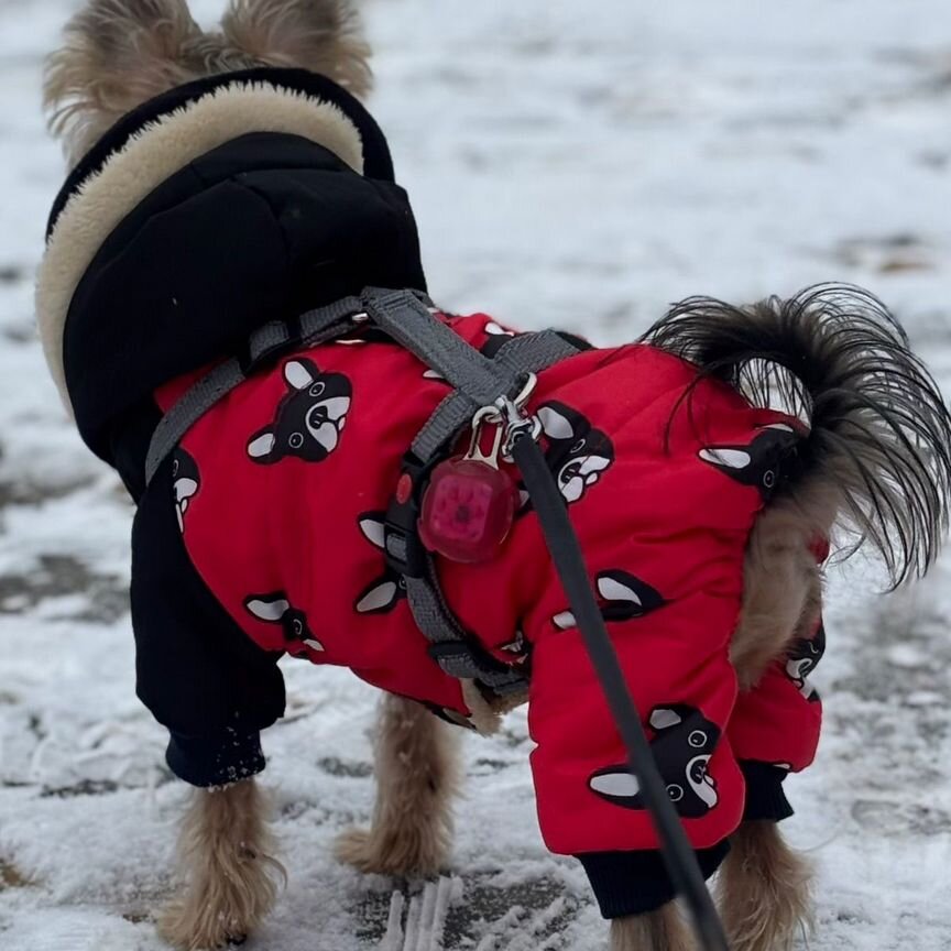 Комбинезон для собак мелких пород