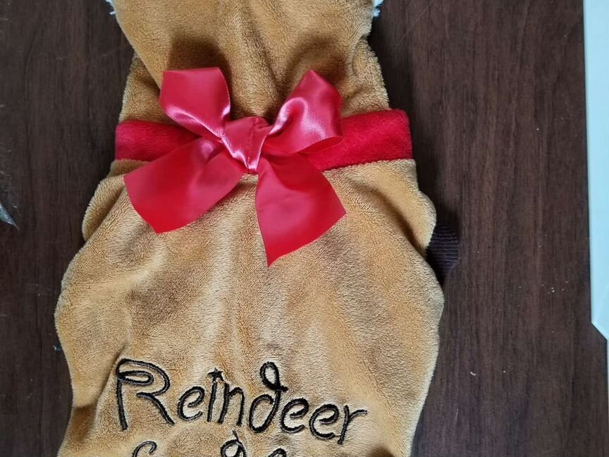 Костюмчик для собачки