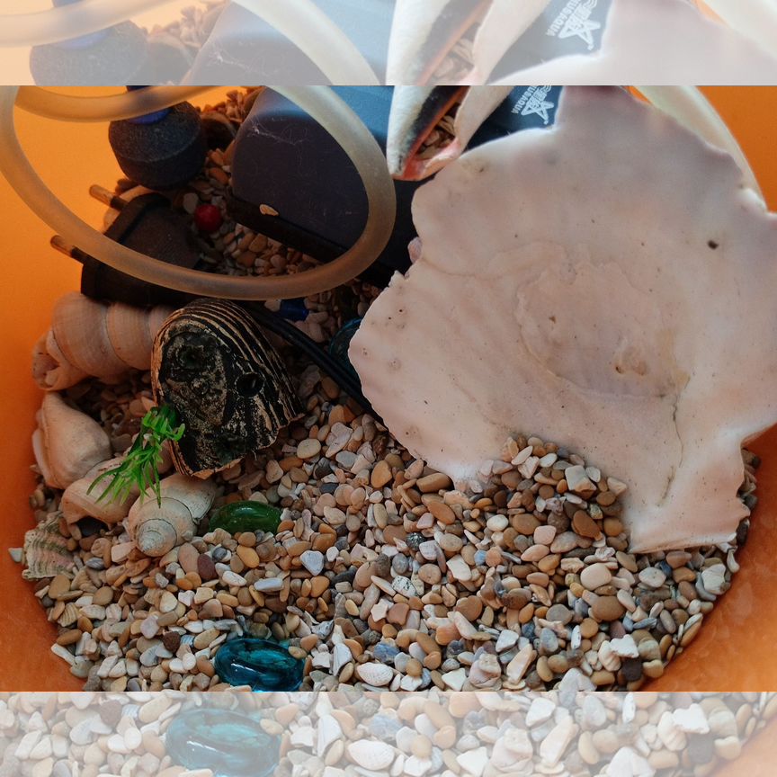 Грунт для аквариума