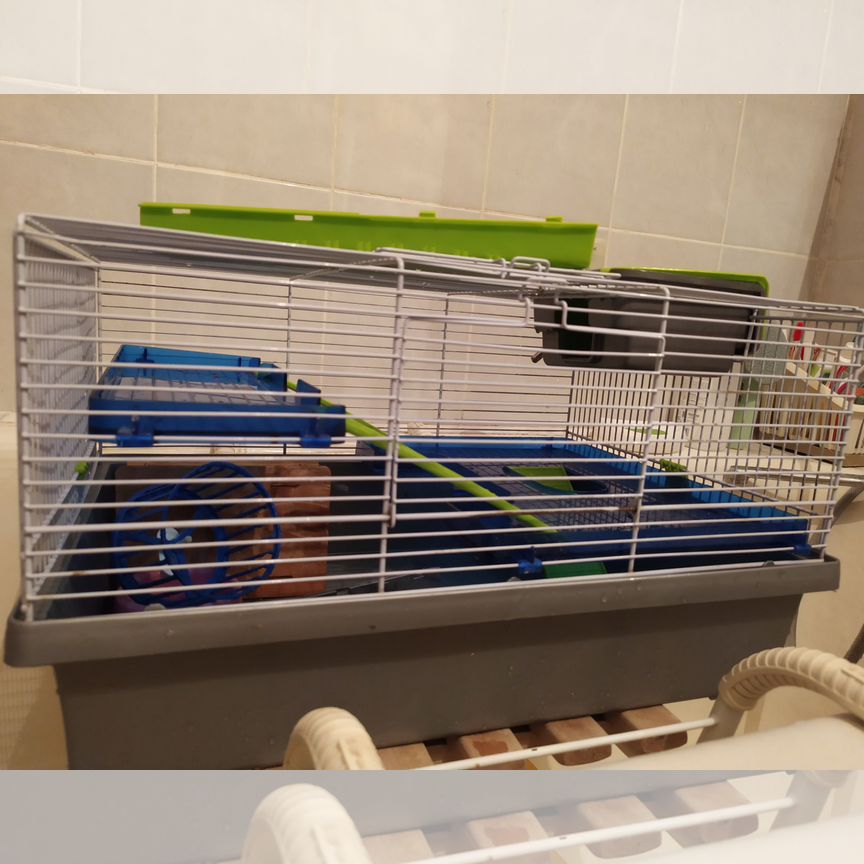 Клетка для хомяка большая