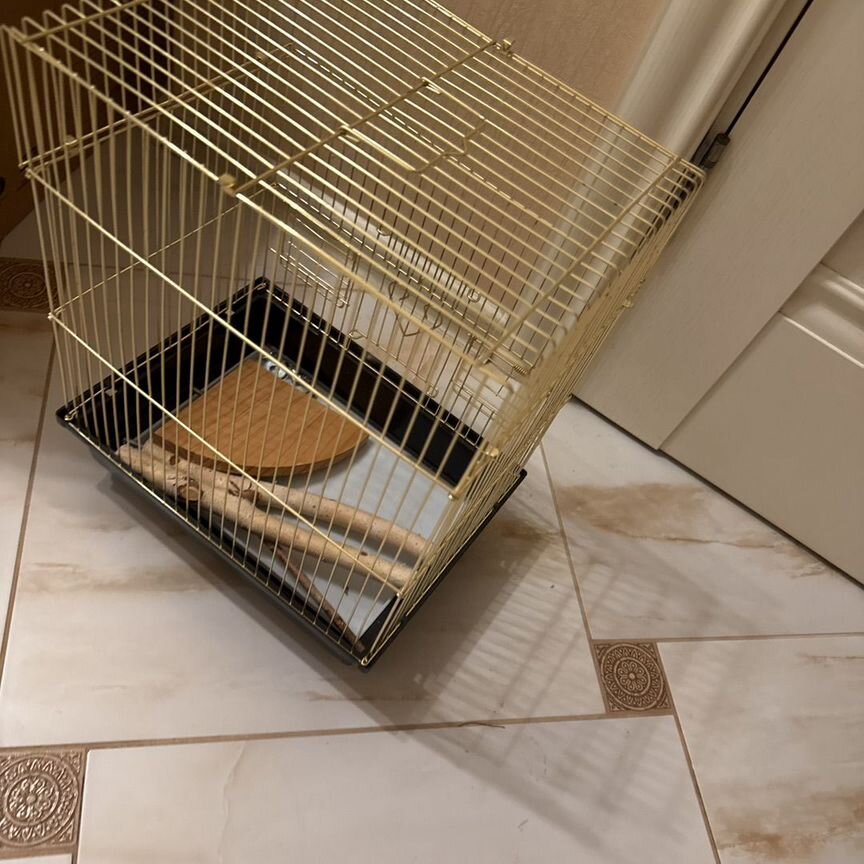 Клетка для попугая для грызунов