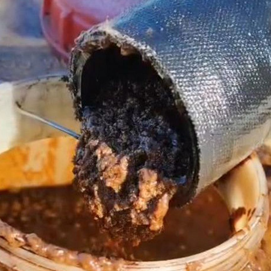 Фуза подсолнечника