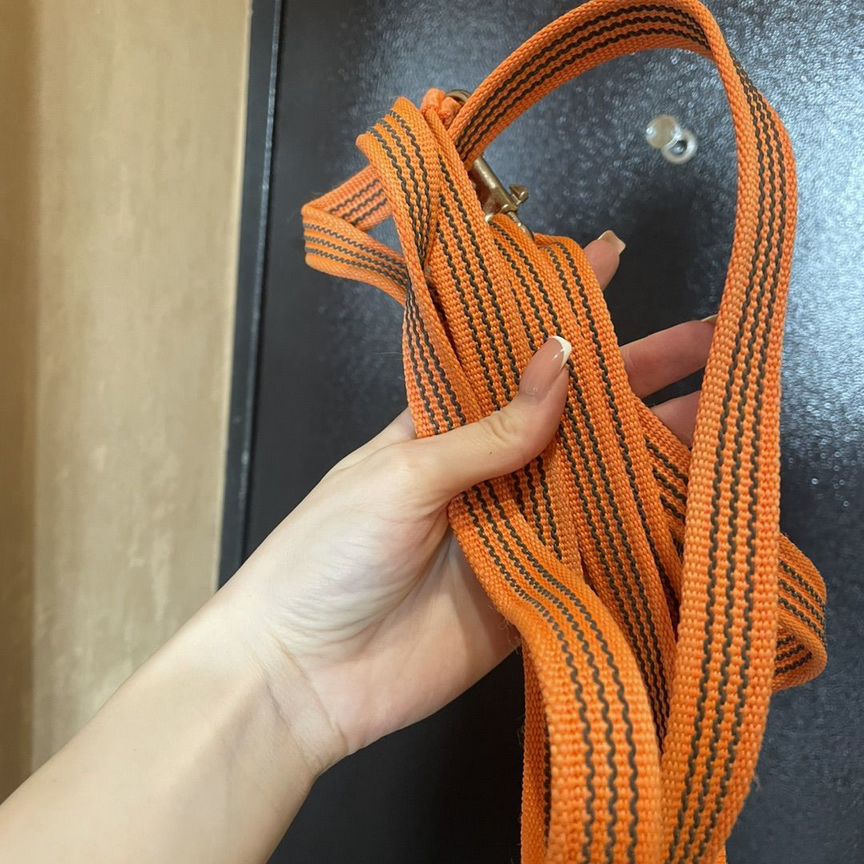 Ошейник и поводок для собак новые