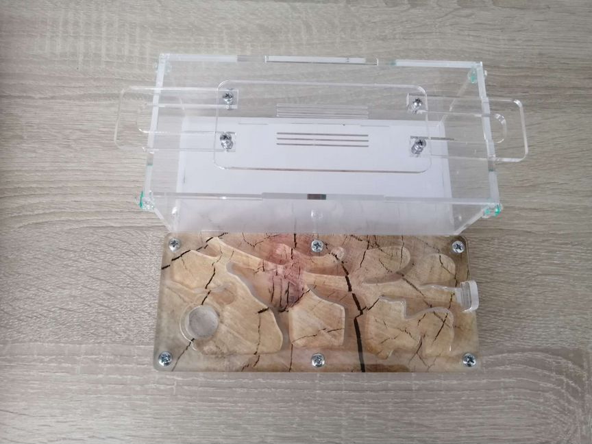 Муравьиная ферма