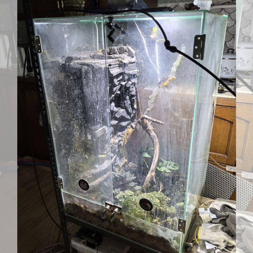 Террариум для рептилий вертикальный