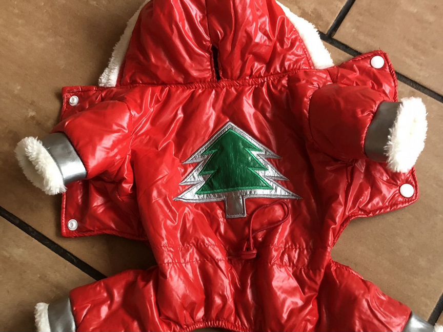 Одежда для маленьких собак м