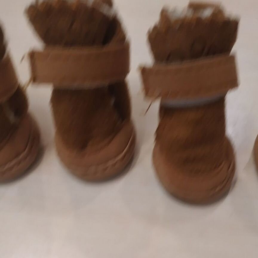 Ботинки зимние для мелкой собачки