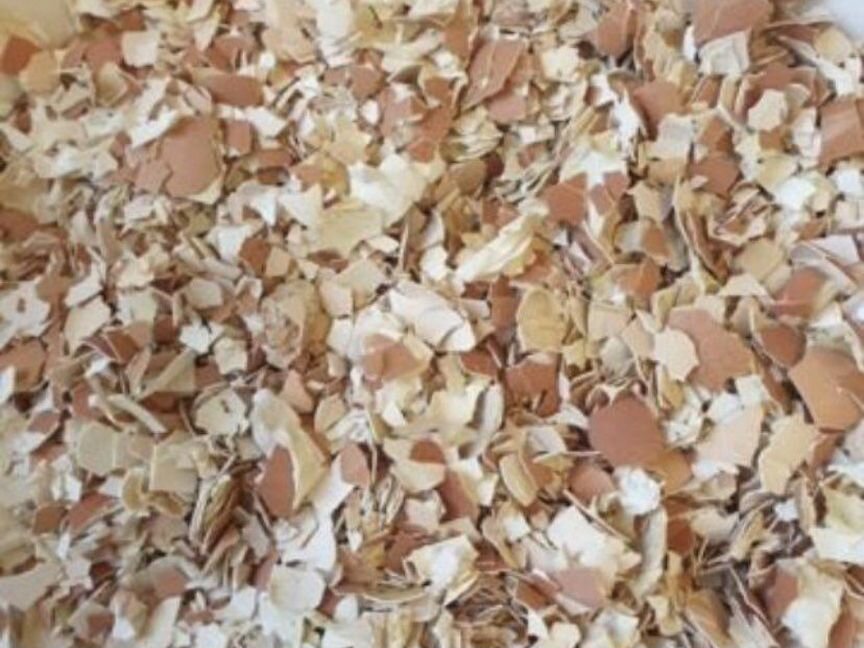 Яичная скорлупа