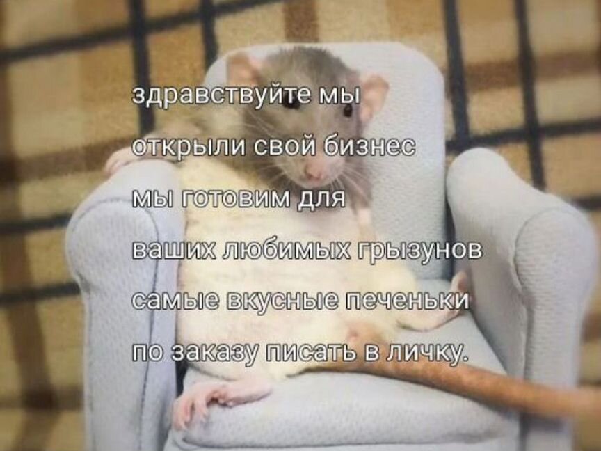 Печенье для грызунов 10 шт