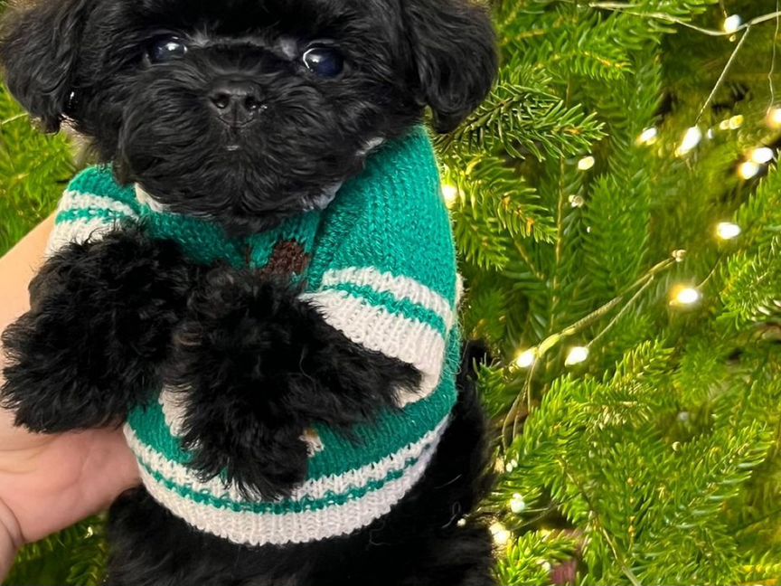 Черные жемчужинки девочки