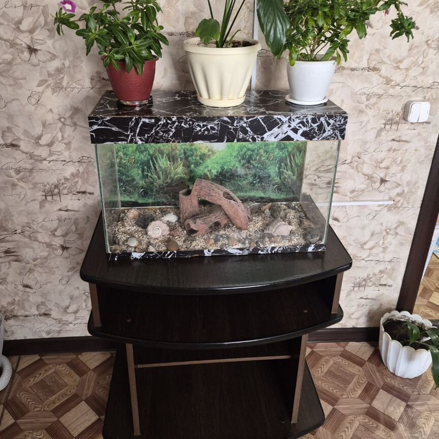 Продам аквариум с тумбой