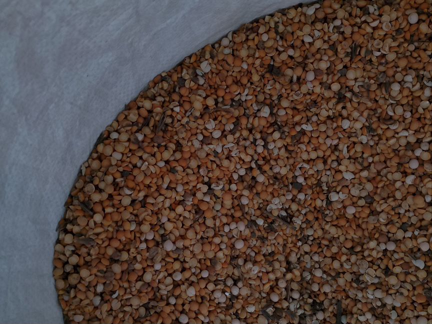 Зерносмесь