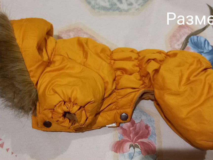 Вещи на собаку