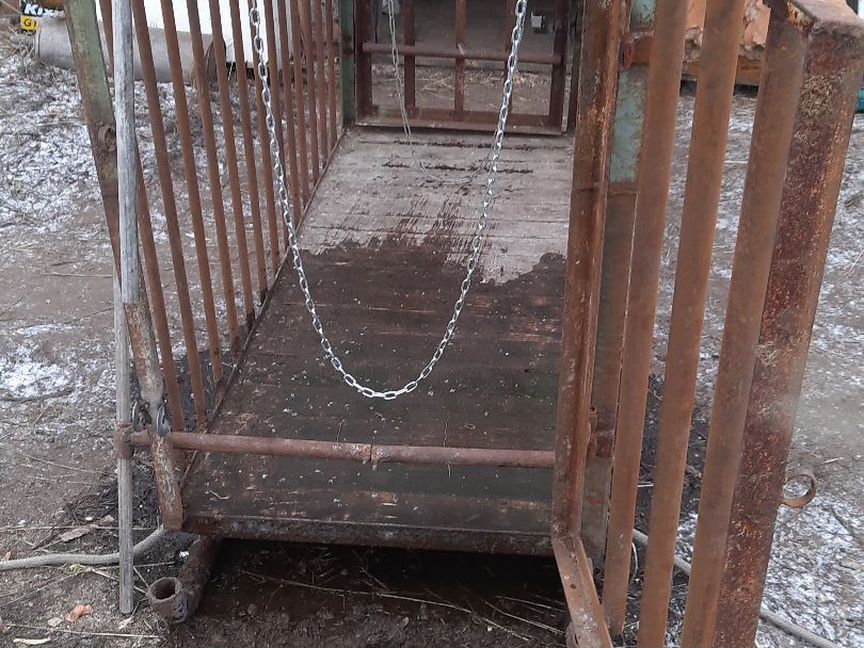 Клетка для хряка