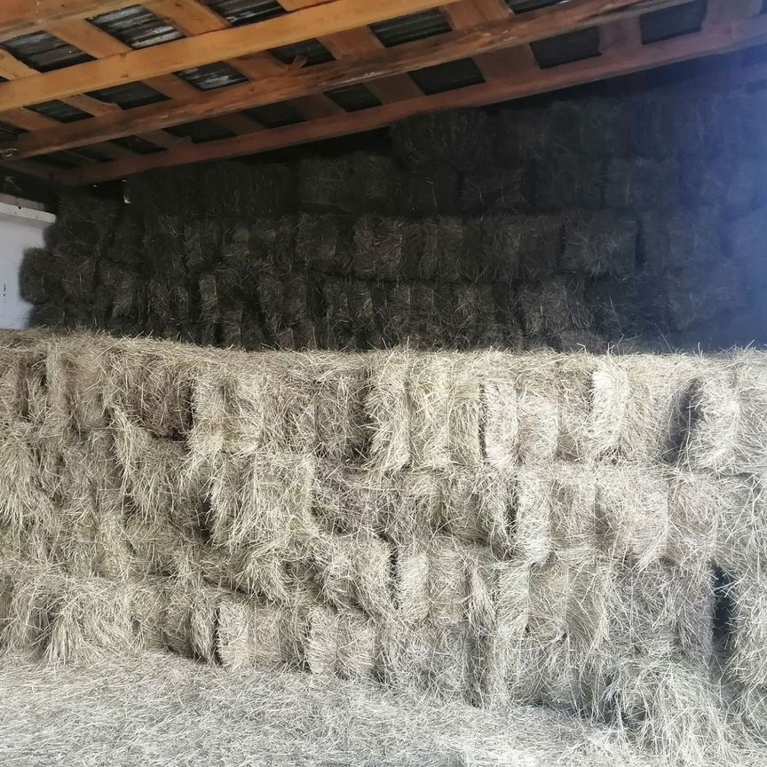 Сено Солома в Тюках