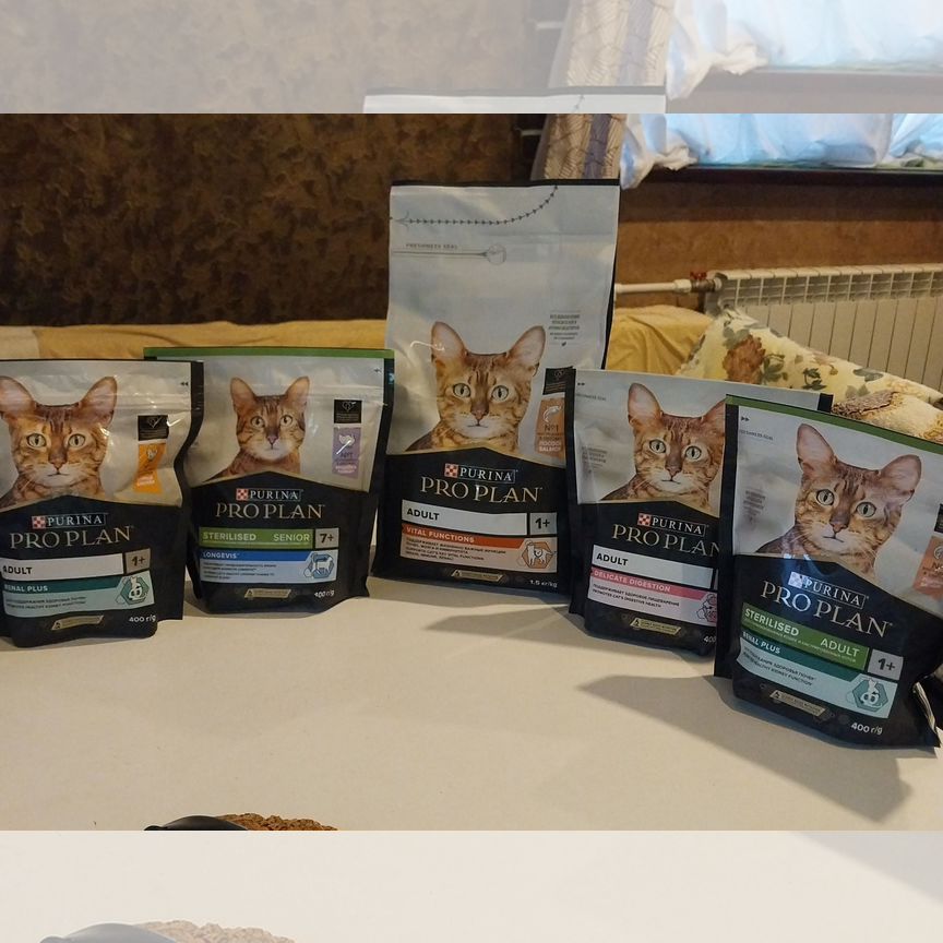 Корм для кошек проплан Purina новый