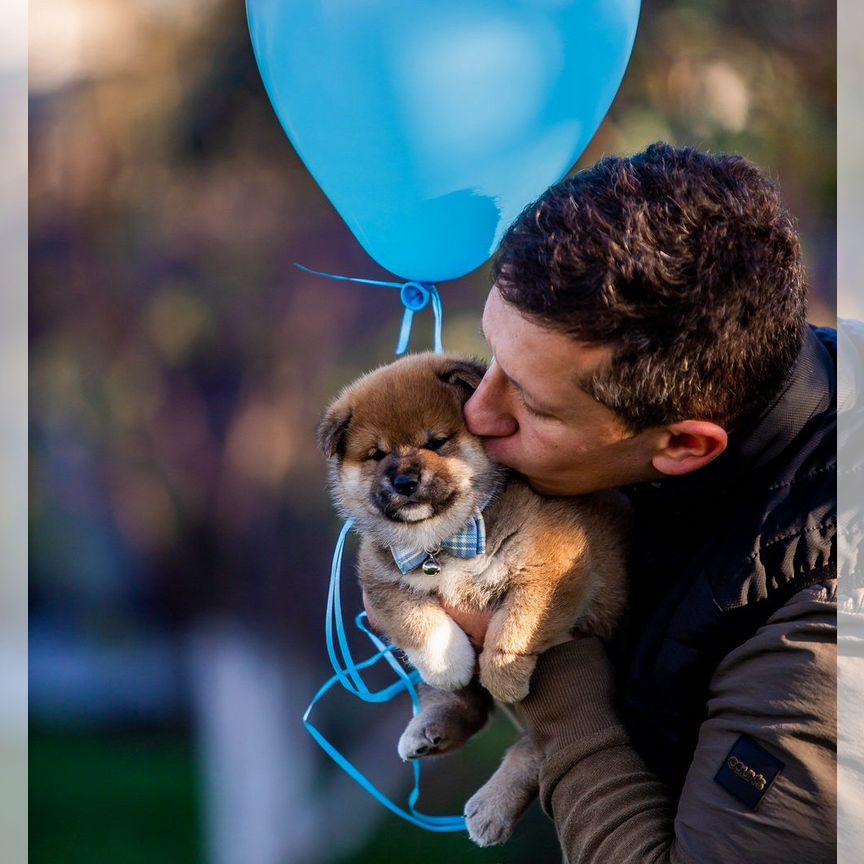 Для тех кто ищет лучшего щенка, только 3 щенка