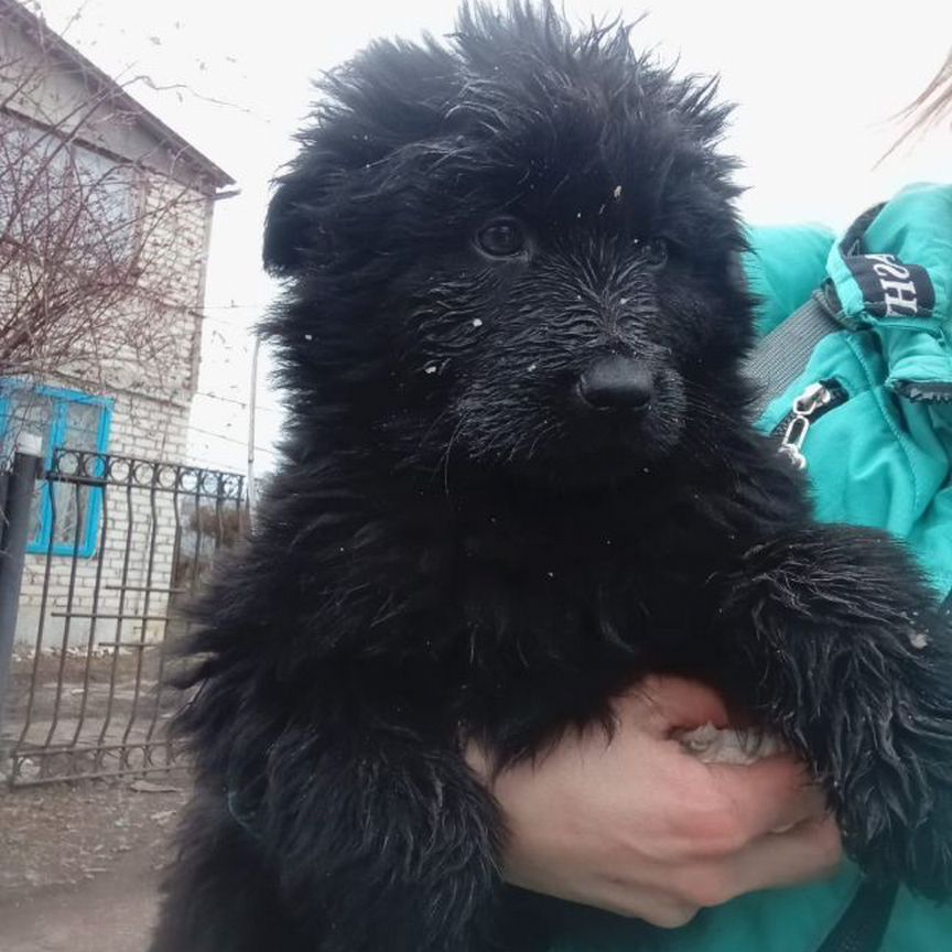 Матвей мальчик три месяца
