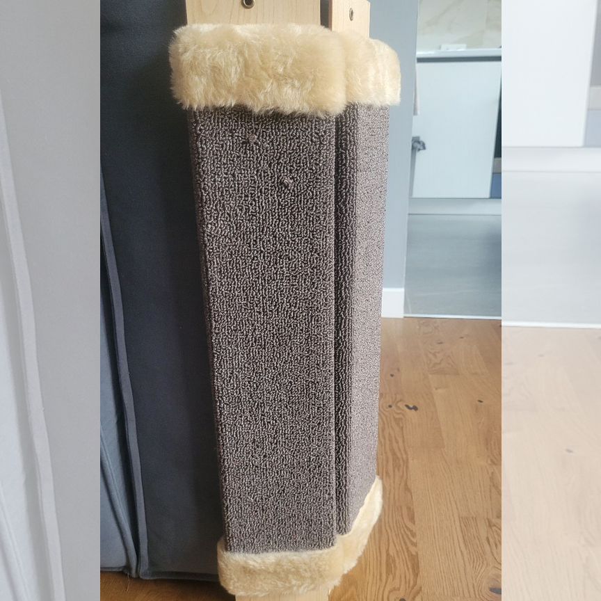 Когтеточка для кошек