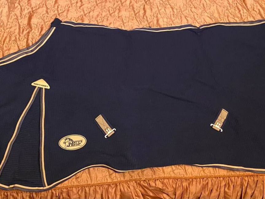 Попона для лошади