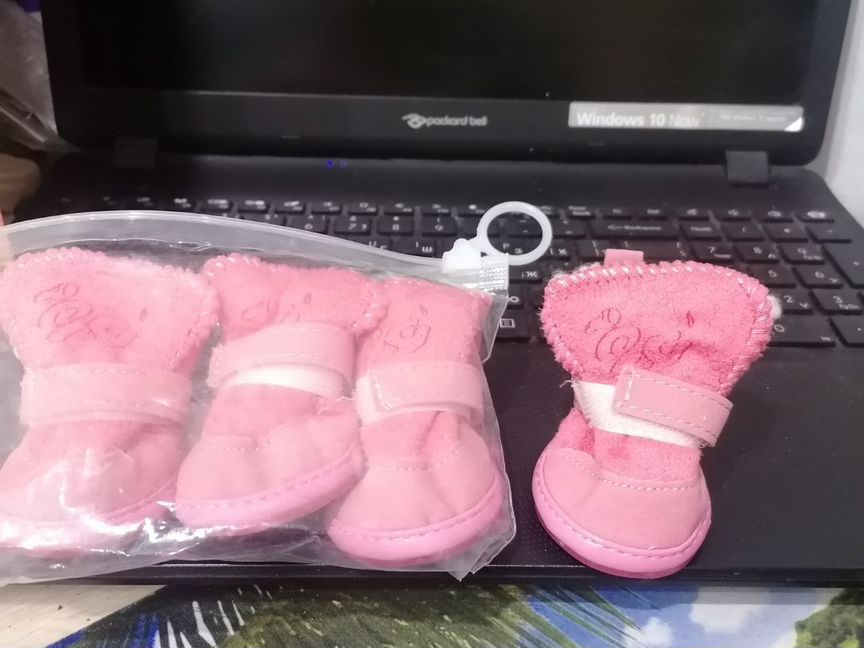 Зимние ботинки для собак