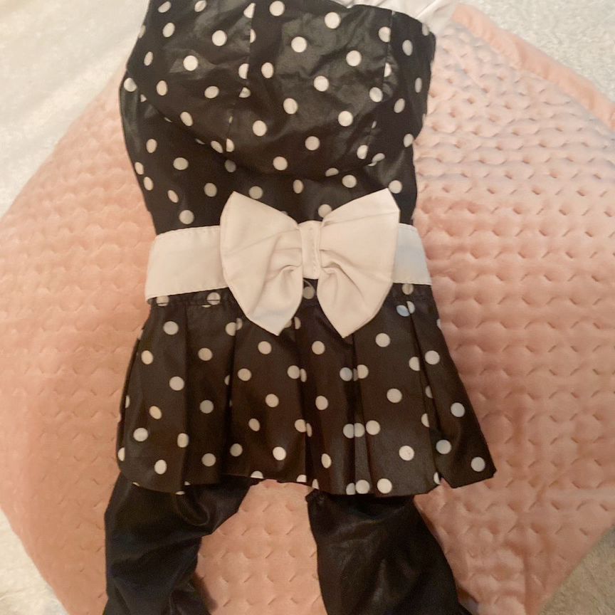 Плащ для маленькой собачки